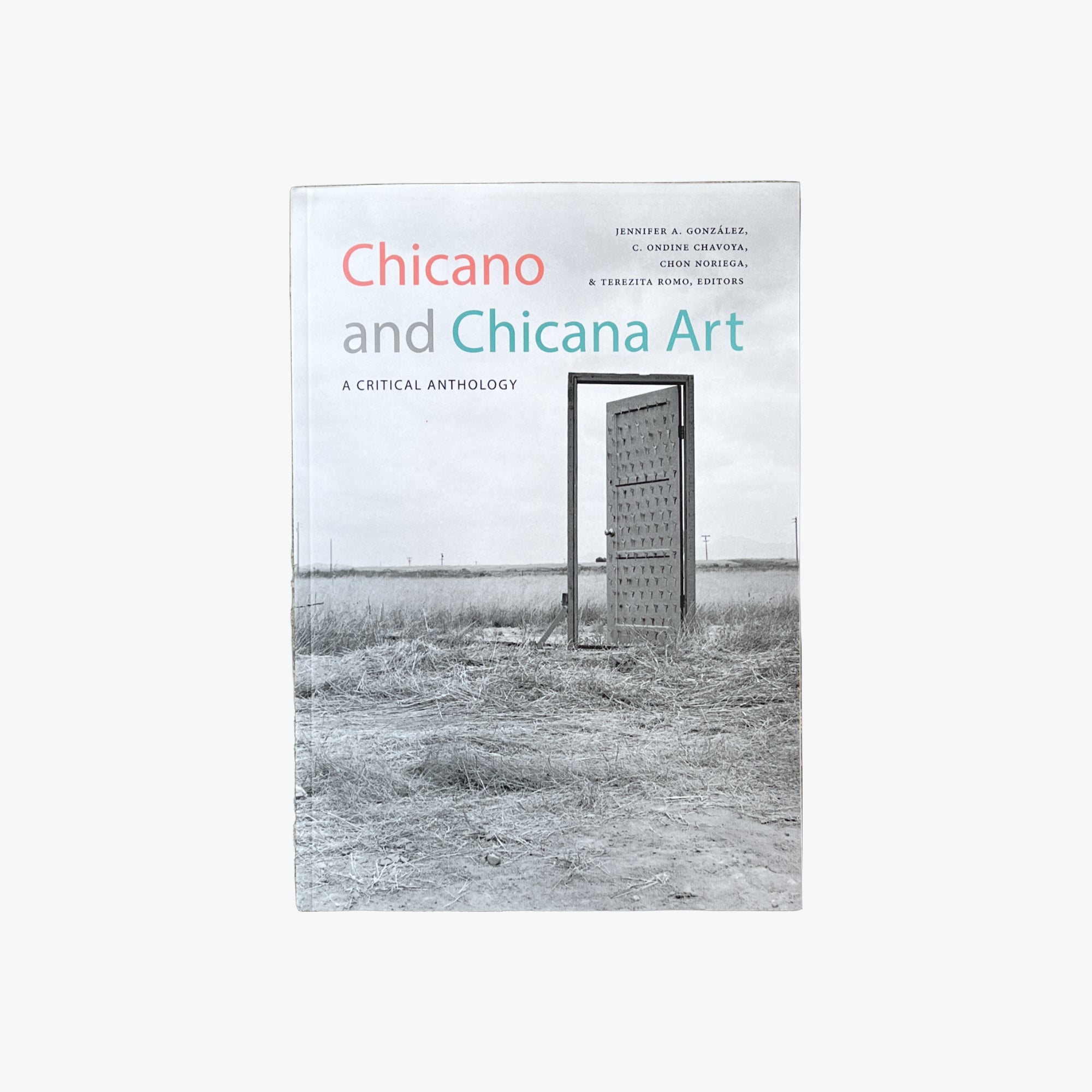 Chicano and Chicana Art: A Critical Anthology | Julia de Burgos Bookstore